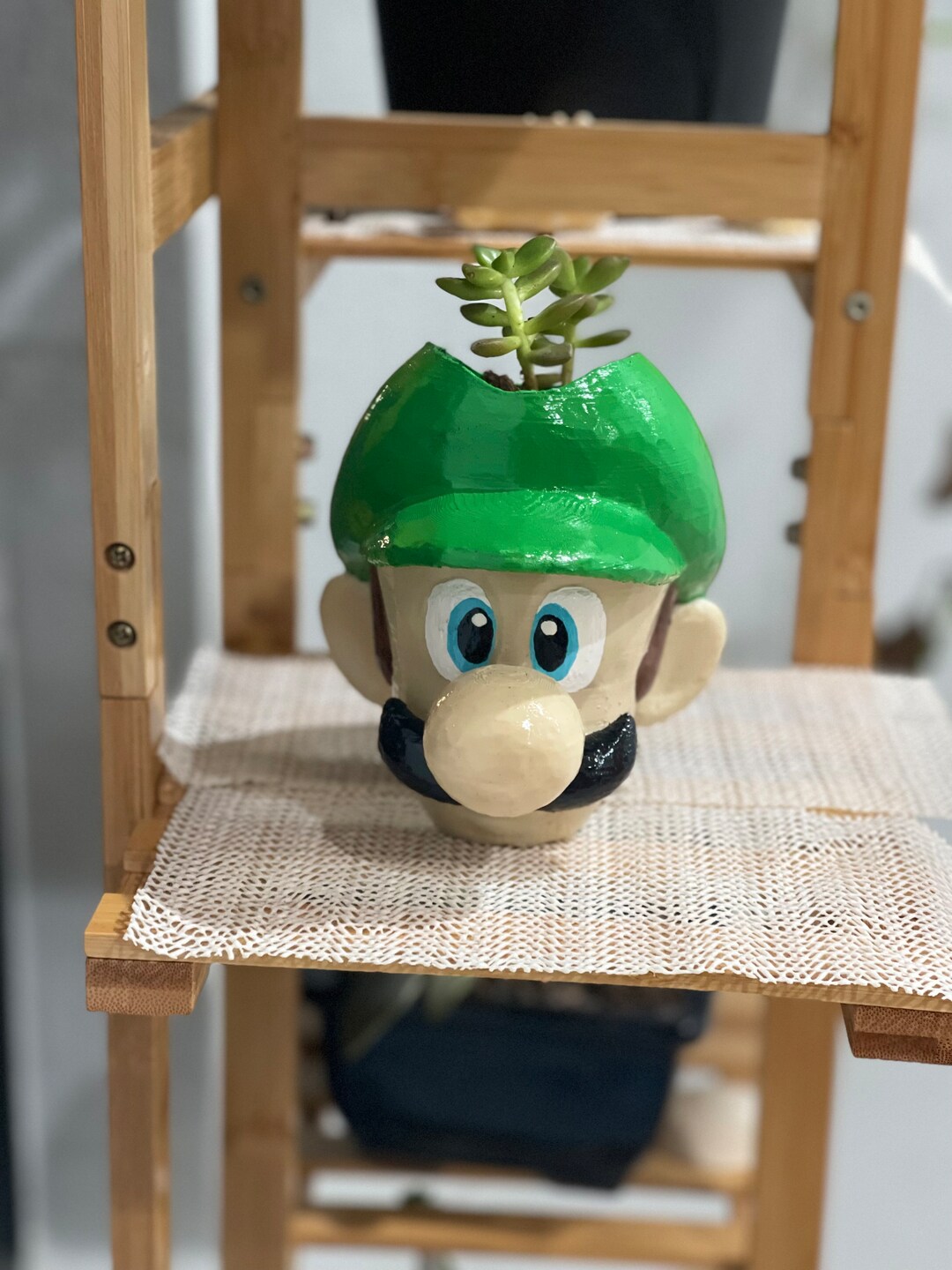 Green Hat Bro Pot Plant Custom Succulent Stand Indoor Inches Tall - Etsy