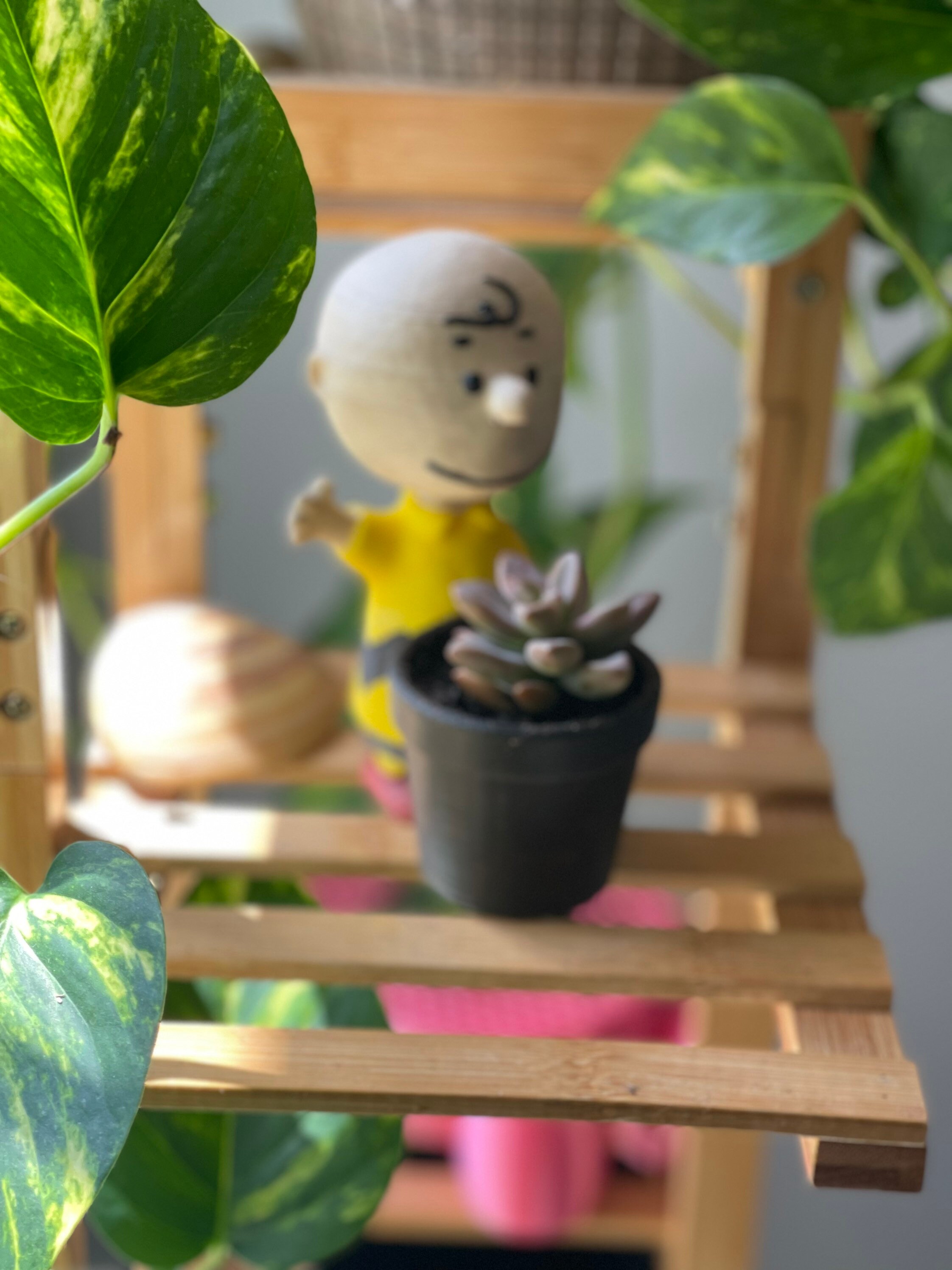 Boy Pot Plant Custom Succulent Stand Indoor Inches Tall - Etsy