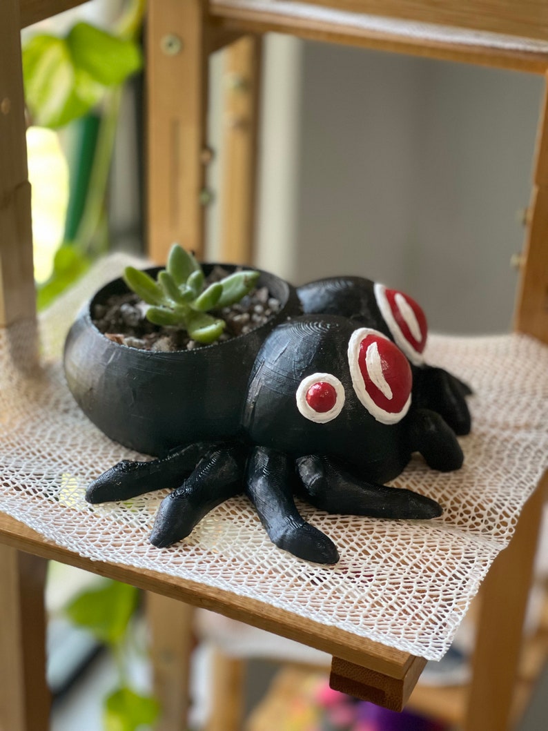 Spider Pot Plant Custom Succulent Stand Indoor Inches Tall - Etsy