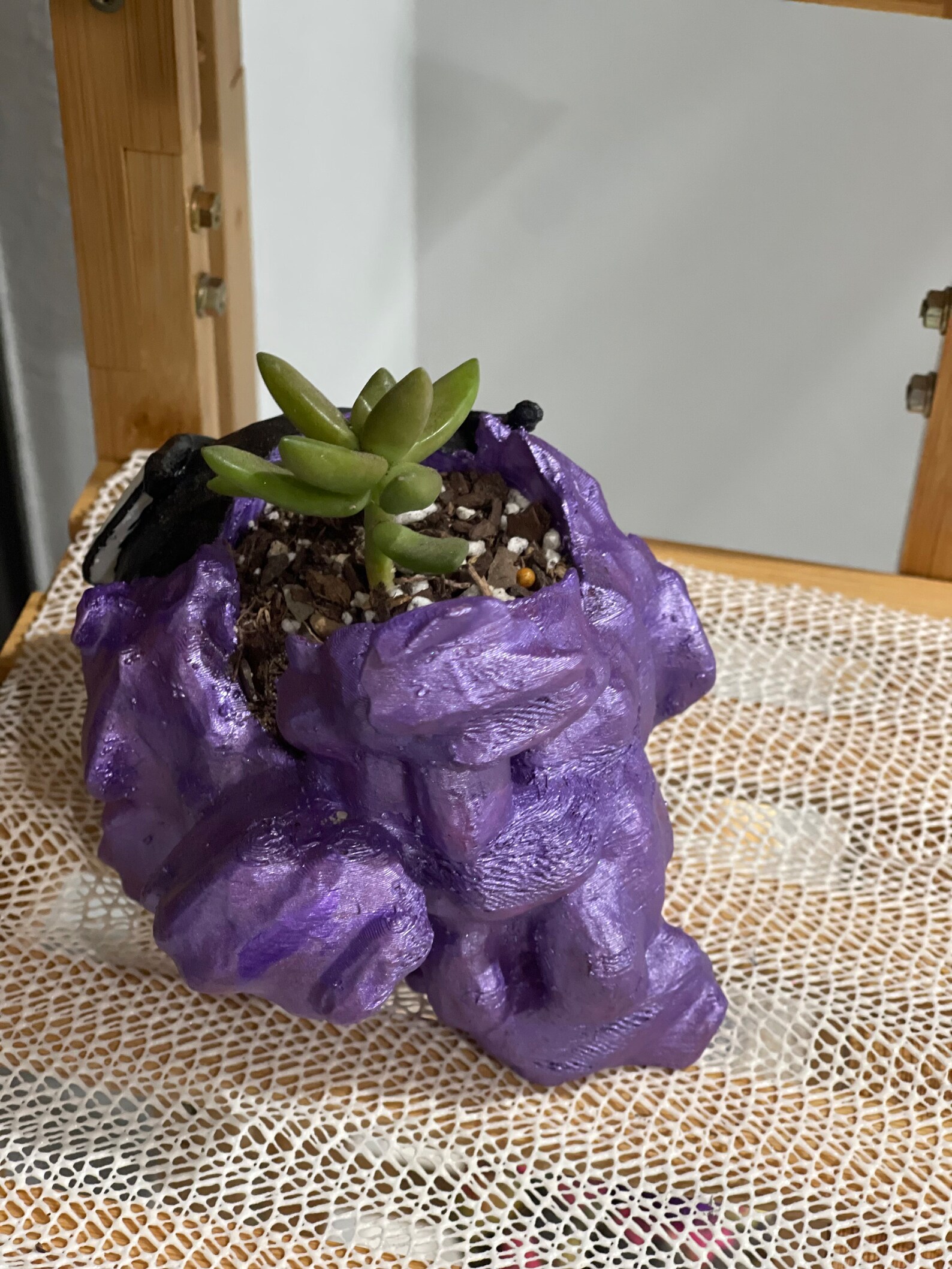 Ghost Anime Cartoon Collection Pot Plant Custom Succulent - Etsy