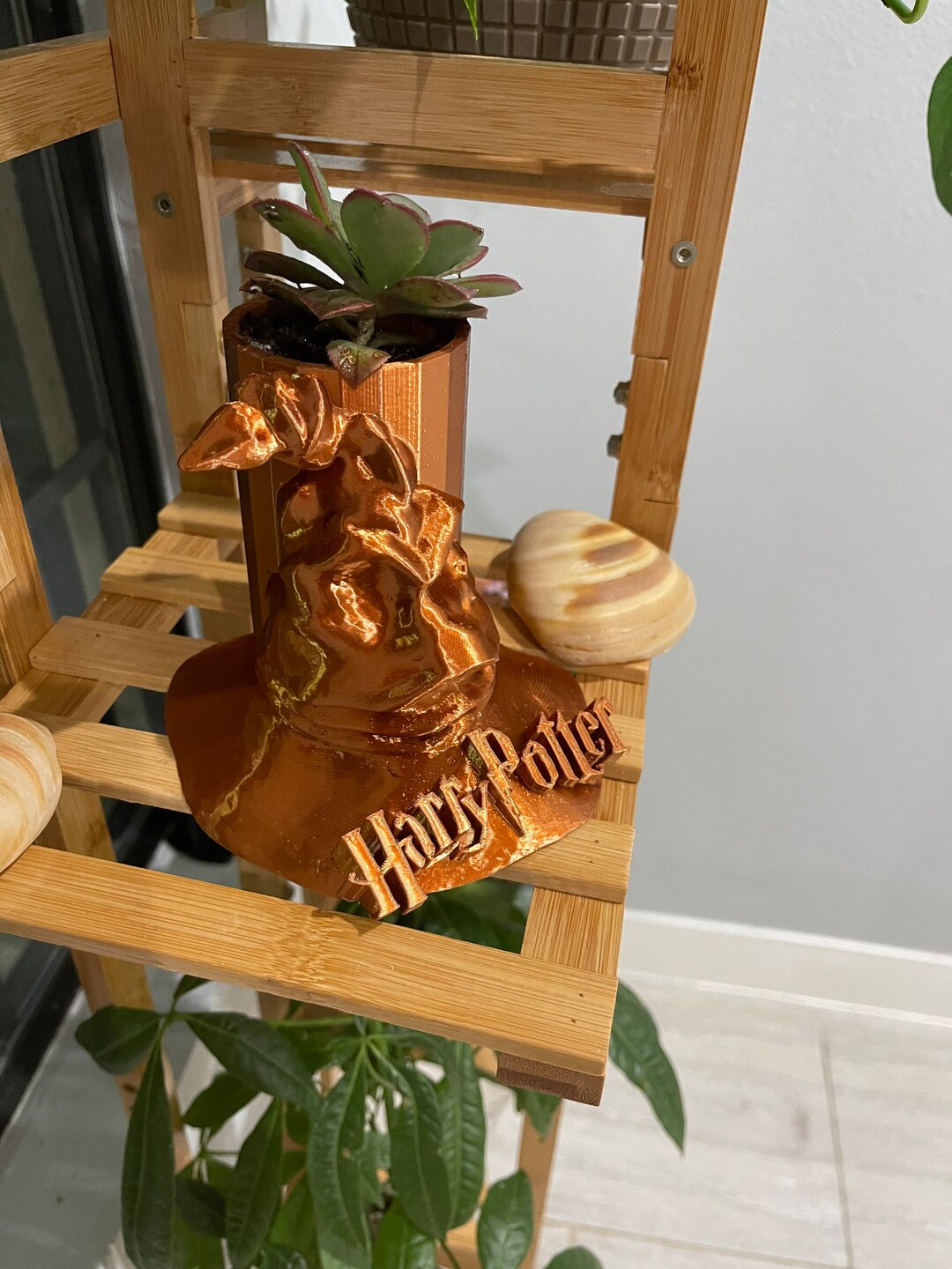 Wizard Hat Pot Plant Custom Succulent Stand Indoor Inches - Etsy