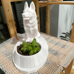 German Shepherd Pot Plant Custom Succulent Stand Indoor Inches Tall - Etsy