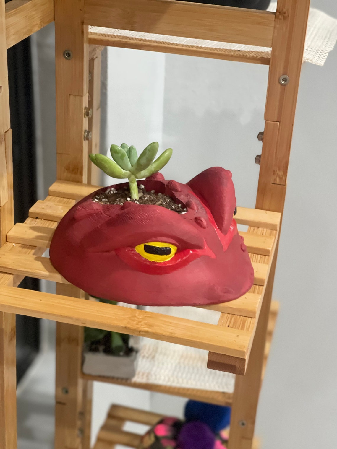 Frog Face Pot Plant Custom Succulent Stand Indoor Inches Tall - Etsy