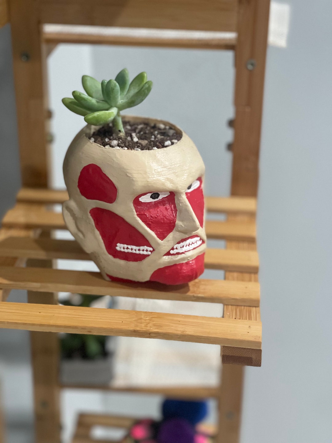 Face Pot Plant Custom Succulent Stand Indoor Inches Tall - Etsy