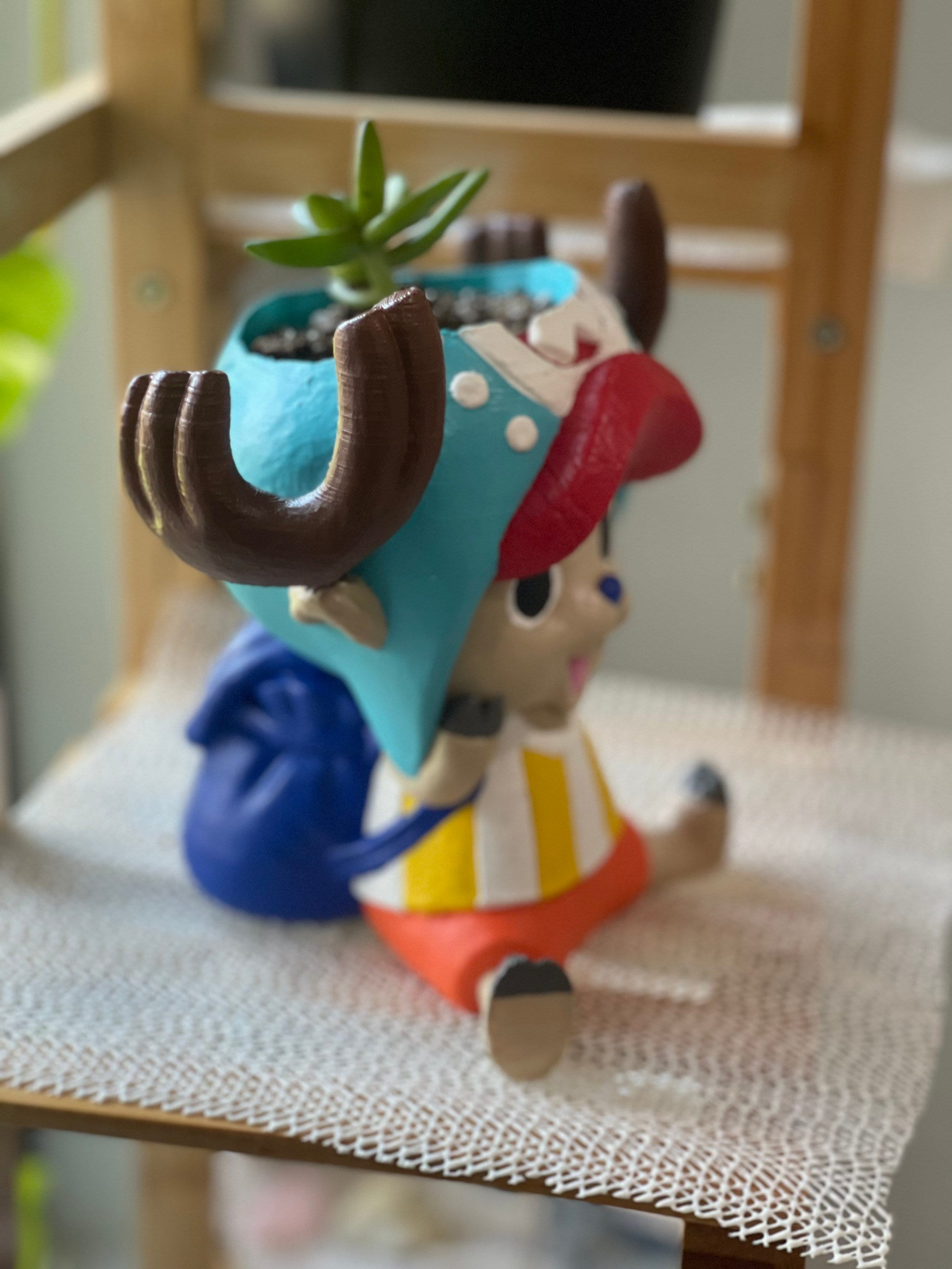 Anime Piece Character Pot Plant Custom Succulent Stand Indoor Inches ...