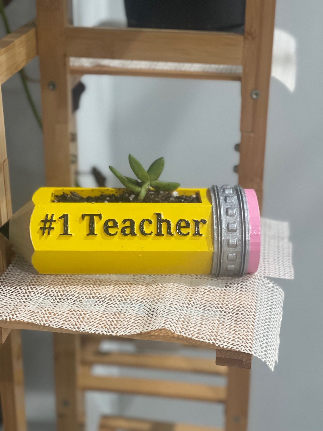 Personalized Custom Pencil Pot Plant Custom Succulent Stand Indoor ...