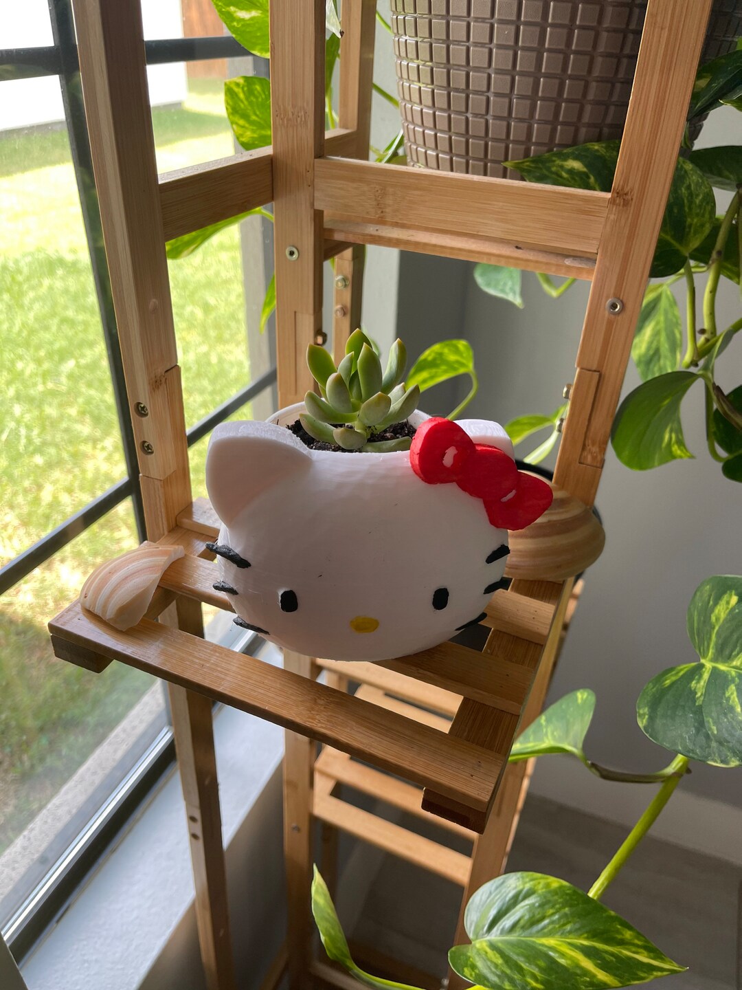 Cat Pot Plant Custom Succulent Stand Indoor Inches Tall - Etsy