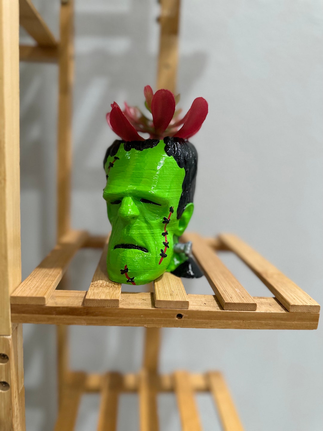 Frankenstein Head Pot Plant Custom Succulent Stand Indoor Inches Tall ...
