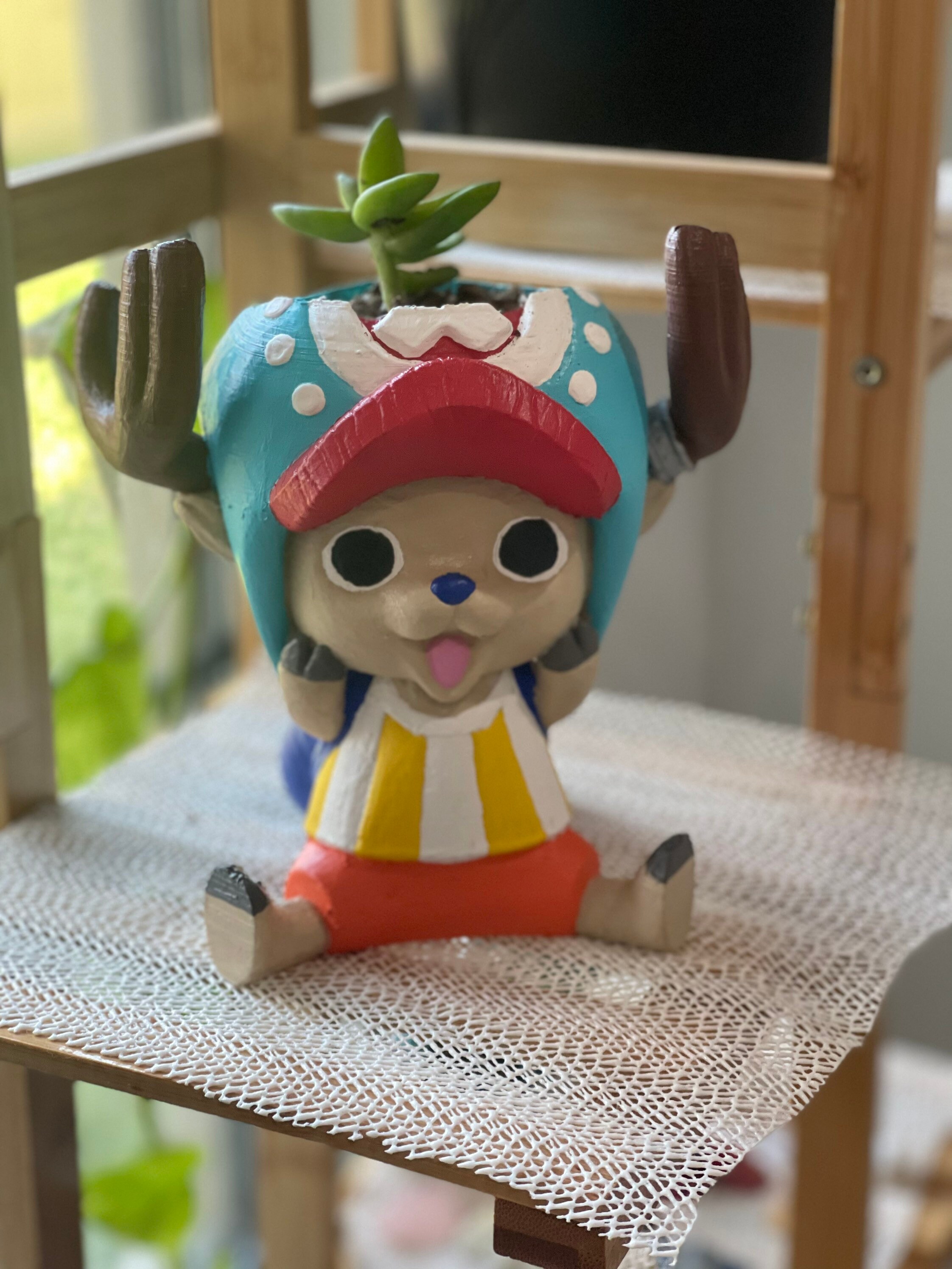 Anime Piece Character Pot Plant Custom Succulent Stand Indoor Inches ...