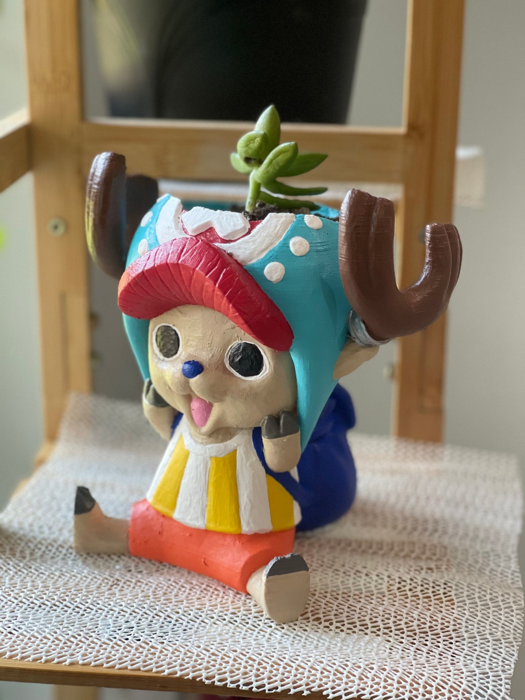 Anime Piece Character Pot Plant Custom Succulent Stand Indoor Inches ...