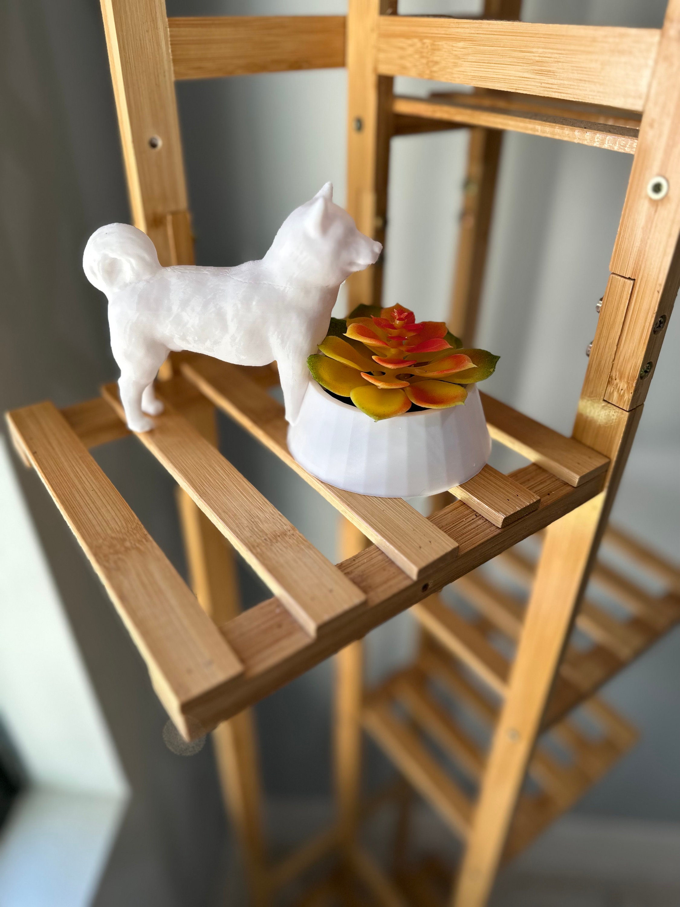 Shiba Inu Dog Pet Lover Pot Plant Custom Succulent Stand - Etsy