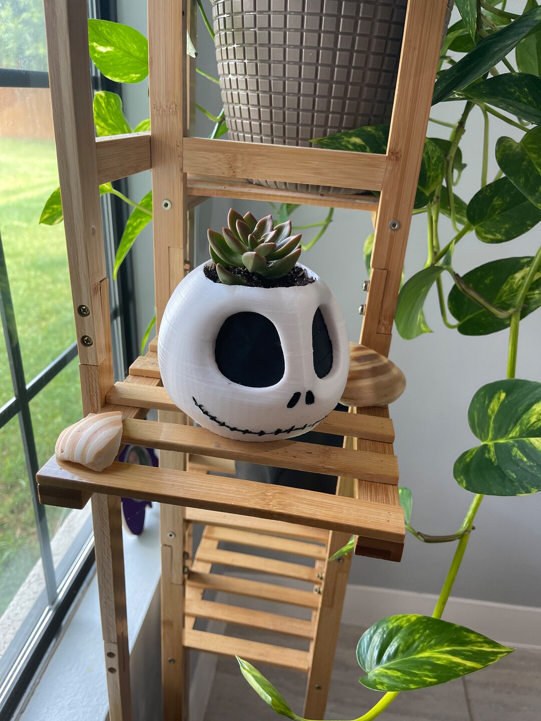 J Skell Pumkin K Head Pot Plant Custom Succulent Stand Indoor Inches ...