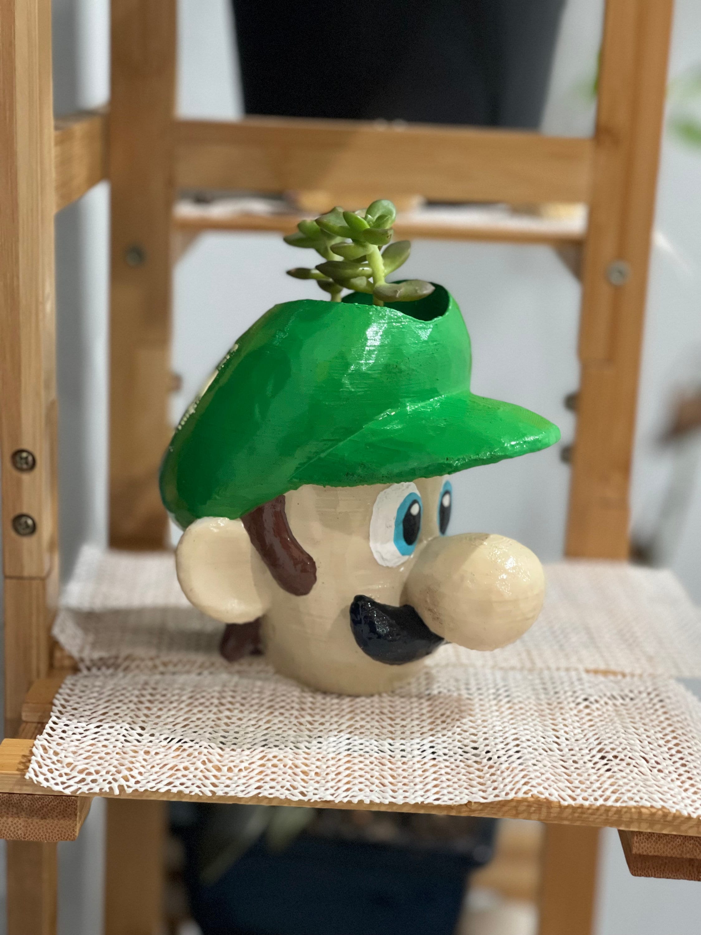 Green Hat Bro Pot Plant Custom Succulent Stand Indoor Inches - Etsy