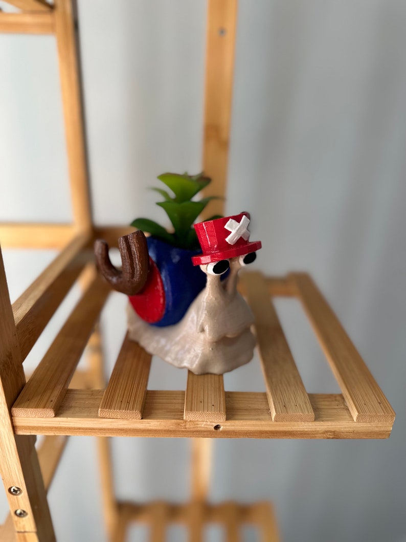 Snail 2 Pot Plant Custom Succulent Stand Indoor Inches Tall - Etsy