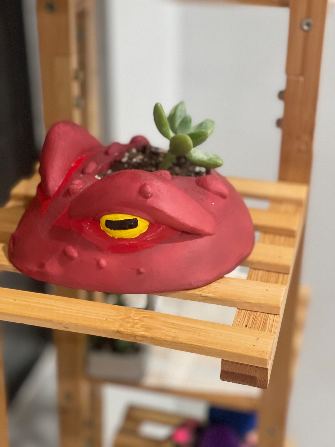Frog Face Pot Plant Custom Succulent Stand Indoor Inches Tall - Etsy