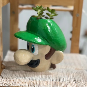 Green Hat Bro Pot Plant Custom Succulent Stand Indoor Inches Tall - Etsy