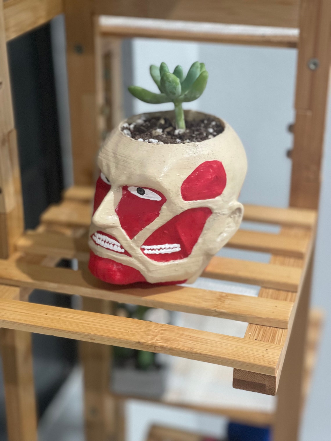 Face Pot Plant Custom Succulent Stand Indoor Inches Tall - Etsy