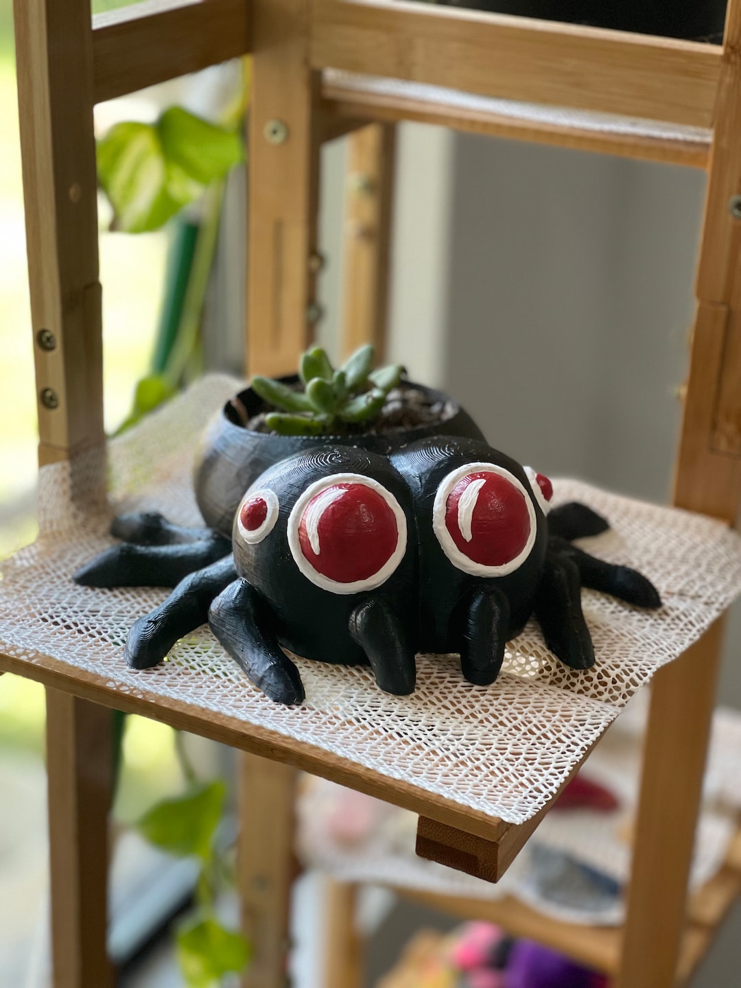 Spider Pot Plant Custom Succulent Stand Indoor Inches Tall - Etsy