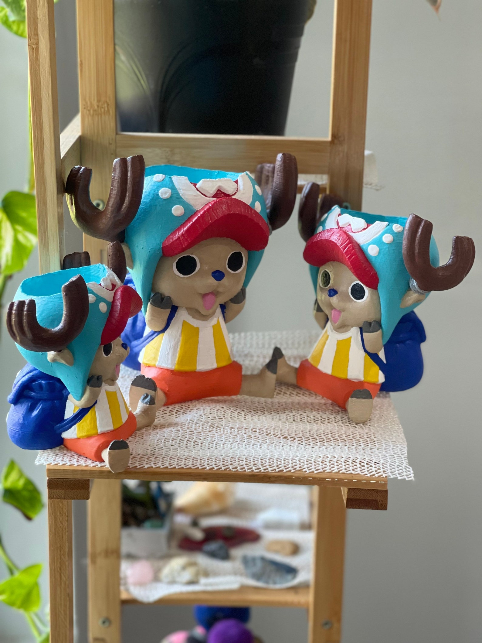 Anime Piece Character Pot Plant Custom Succulent Stand Indoor Inches ...