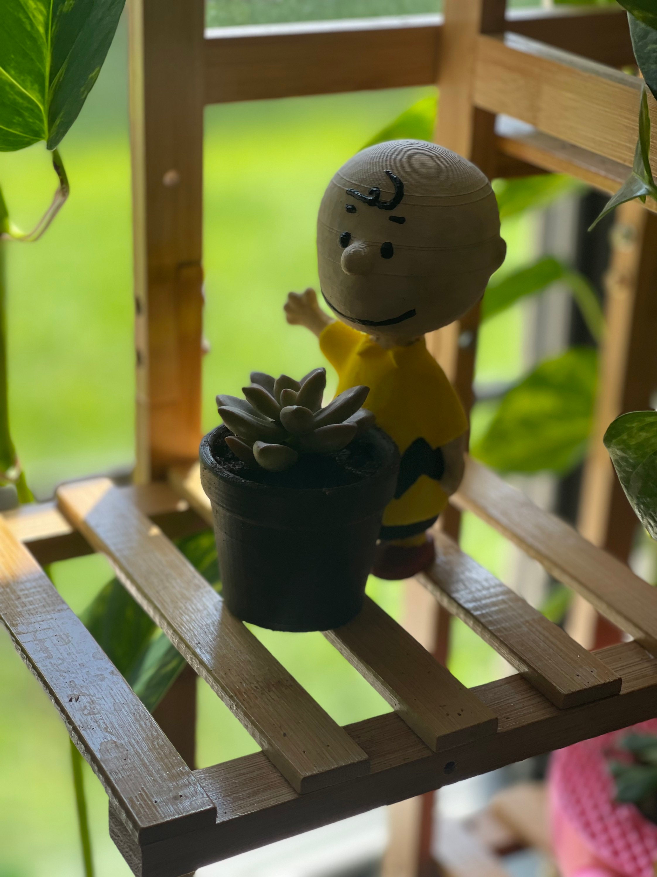 Boy Pot Plant Custom Succulent Stand Indoor Inches Tall - Etsy