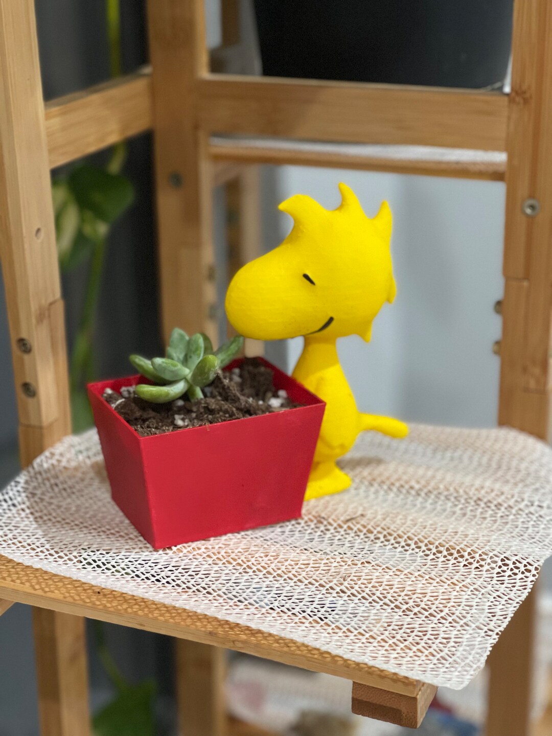 Bird Pot Plant Custom Succulent Stand Indoor Inches Tall - Etsy