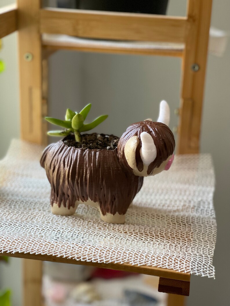 Highland Cow Pot Plant Custom Succulent Stand Indoor Inches Tall - Etsy