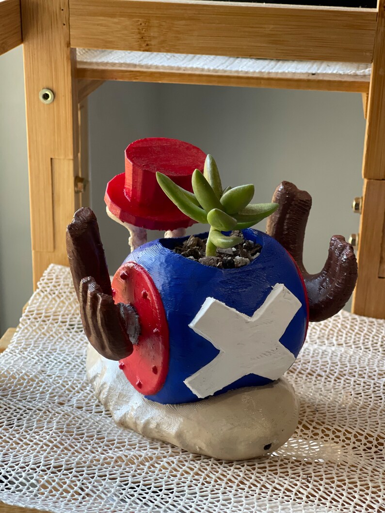 Snail 2 Pot Plant Custom Succulent Stand Indoor Inches Tall - Etsy