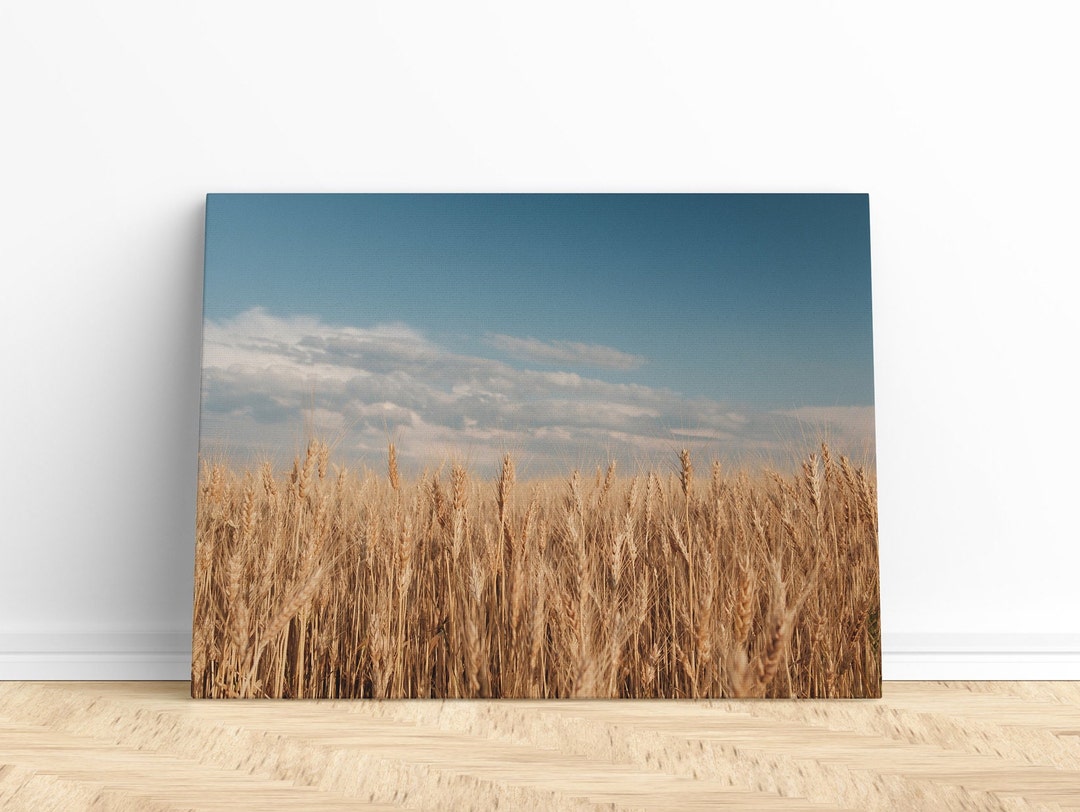 Wheat Field Canvas Wall Art | Wheat Field Print, Wheat Art, Wheat Field ...