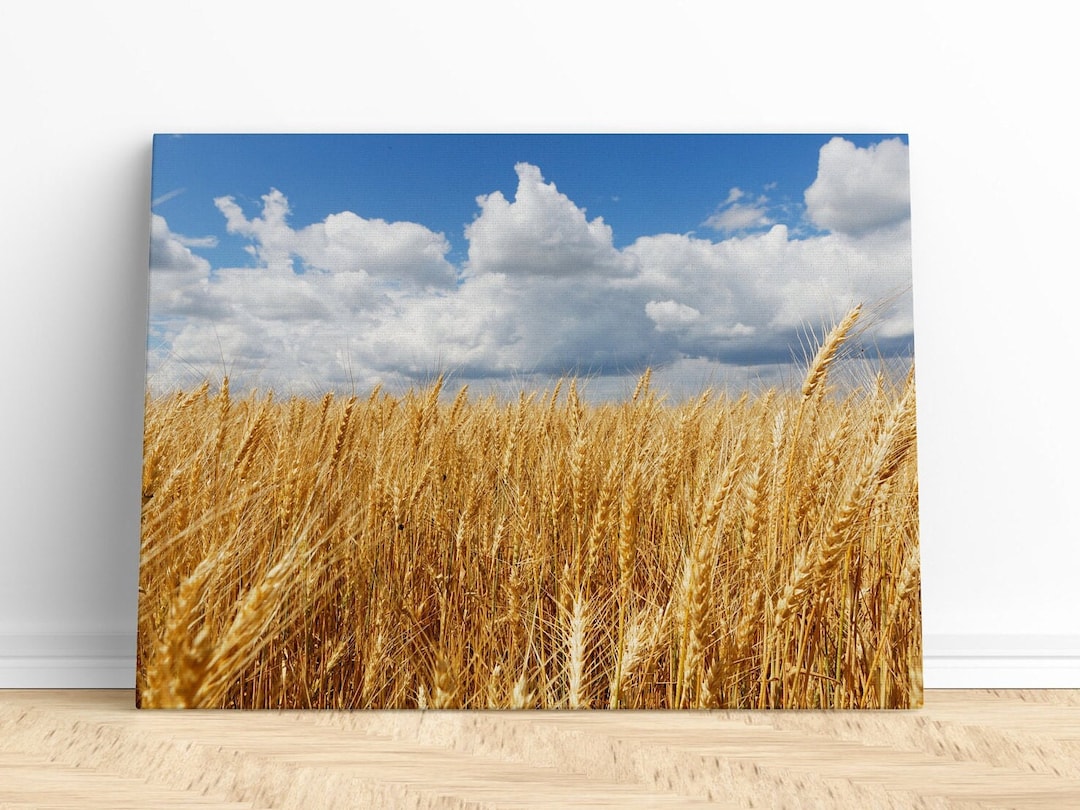 Prairie Prints | Photo Canvas Print, Wheat Field Print, Canadian Prints ...
