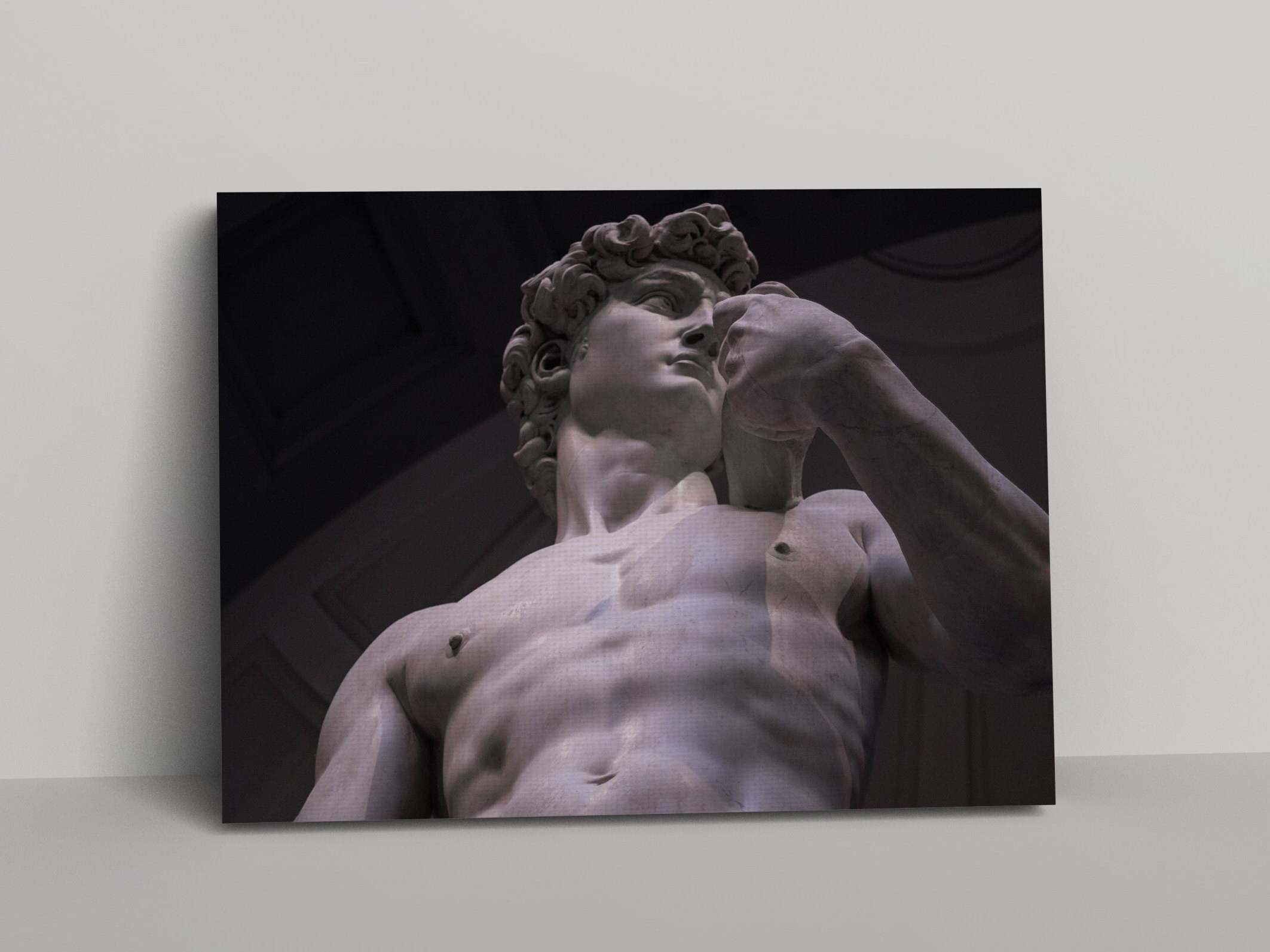 The David Canvas Wall Art Print | David Statue Print, Greek Mythology ...