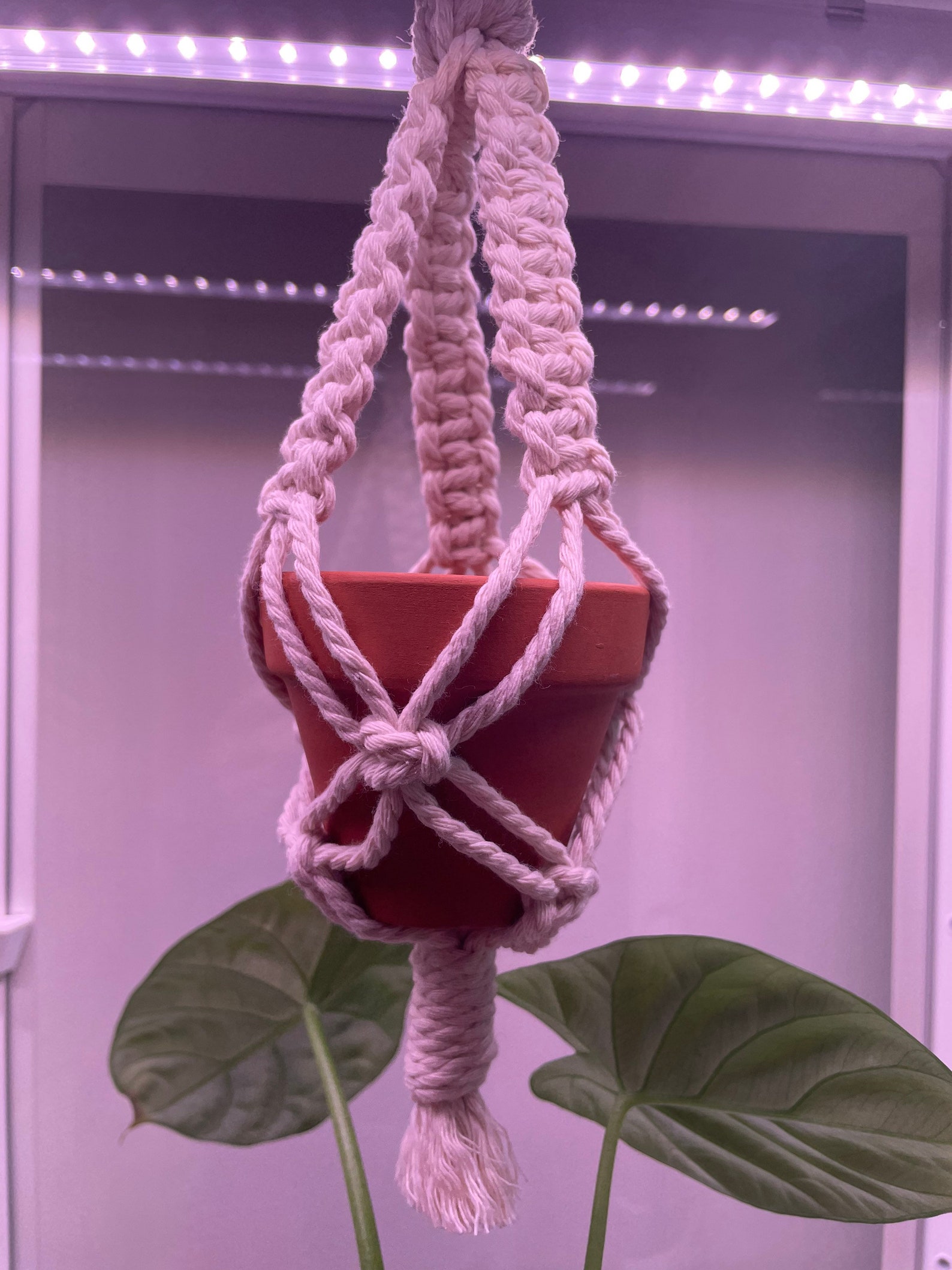 Mini Macrame Hanger for IKEA Indoor Greenhouse | Small Plant Hanger ...