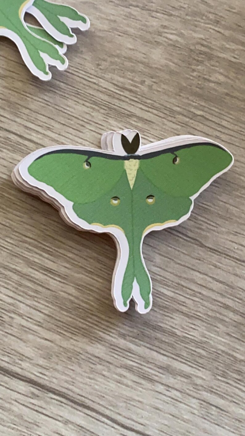 Moth Stickers - Etsy