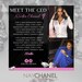 DIY Meet the CEO Flyer Template Entrepreneur Flyer Meet the Owner Flyer ...