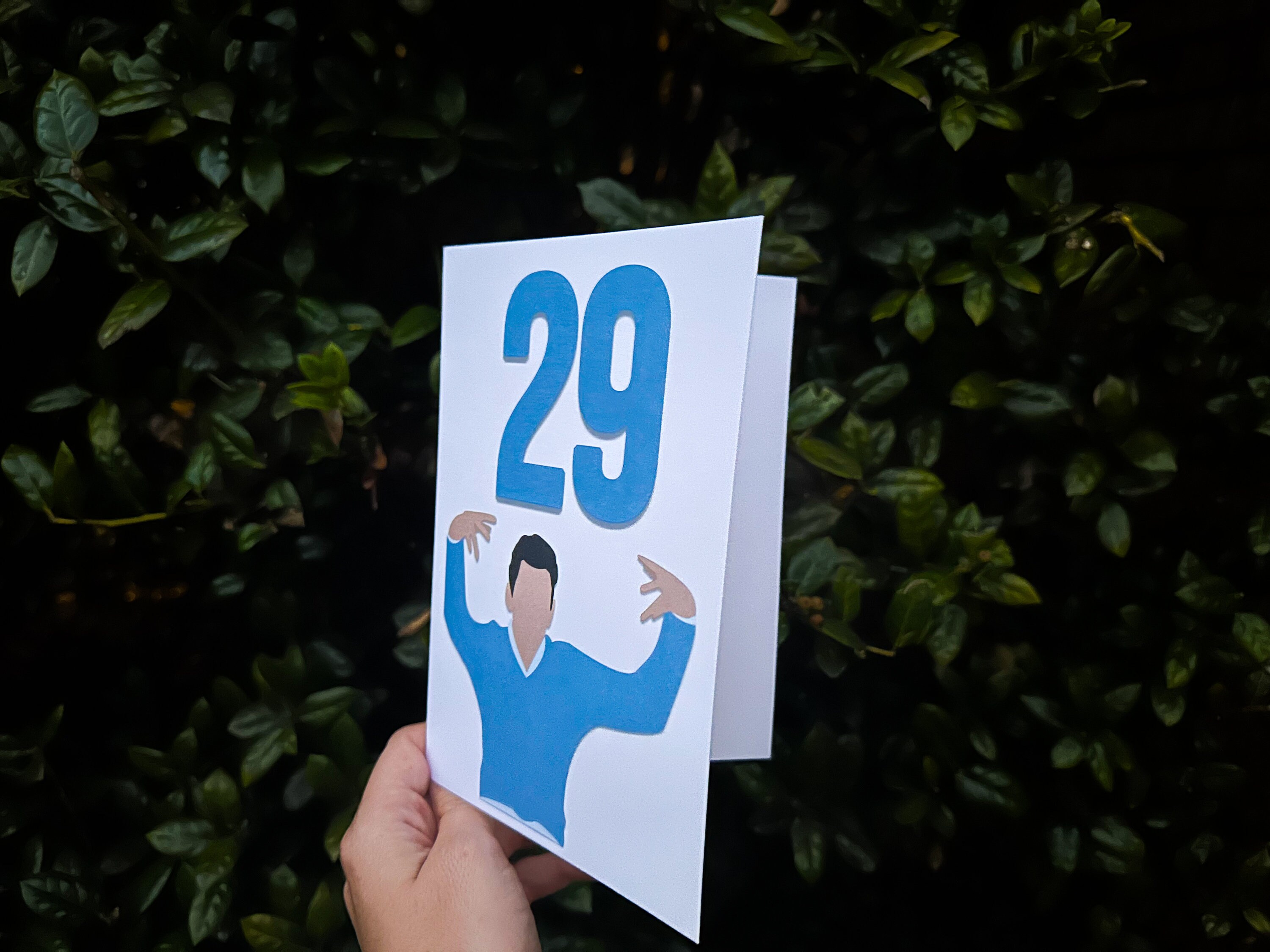 Schmidt 29 Birthday Card Blank Card - Etsy