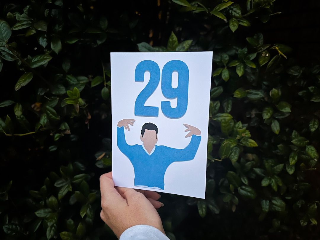 Schmidt 29 Birthday Card Blank Card - Etsy