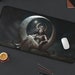 Valkyrie Desk Mat | Dnd Mousepad | Dnd Desk Mat | D&D Gifts | TTRPG ...