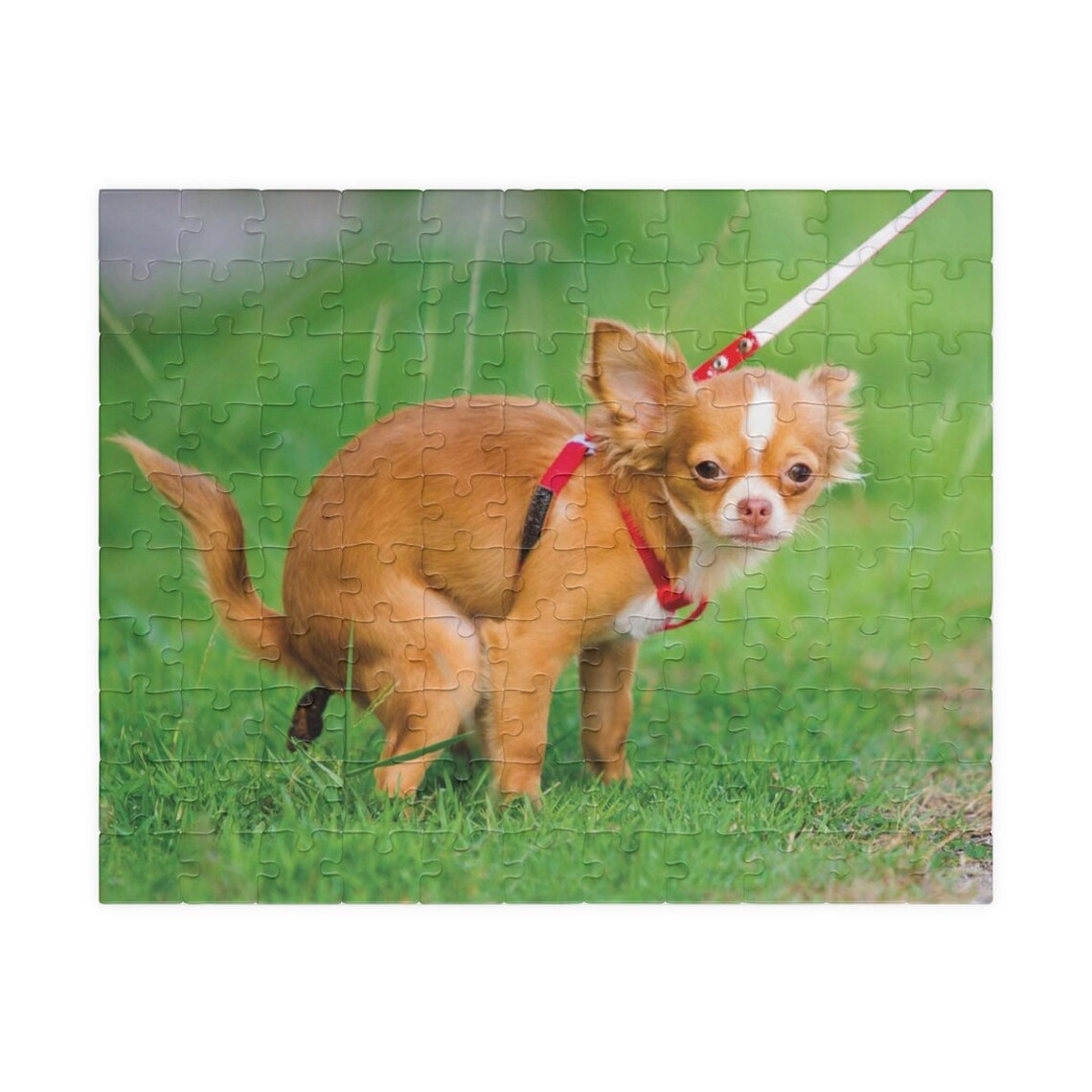 Pooping Chihuahua Jigsaw Puzzle Adult Gag Prank Dog Lovers - Etsy