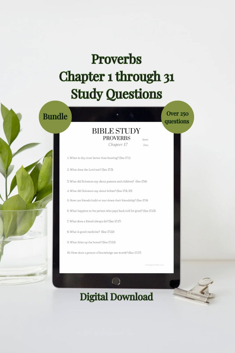 Bible Study Printable / Proverbs Bundle 1 to 31 / Chapter Summary ...