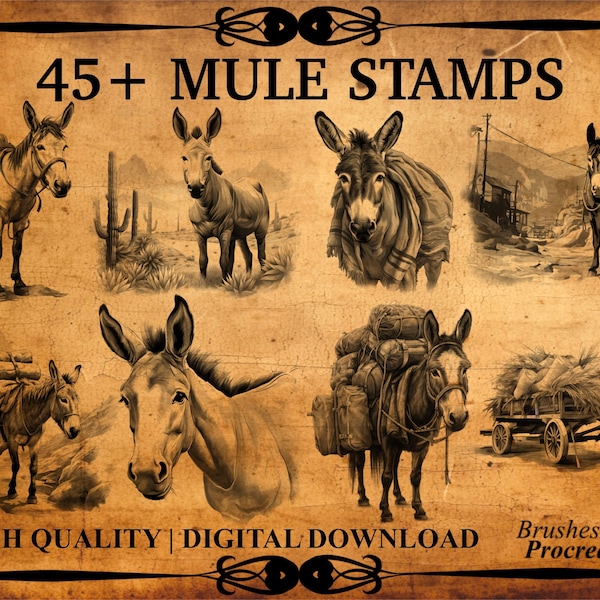 Mules - Etsy