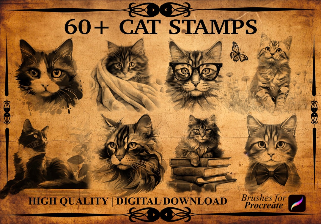 60+ Cat Procreate Brush Stamps - Etsy