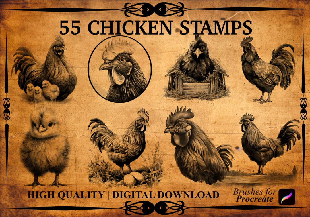 55 Chicken Procreate Brush Stamps - Etsy