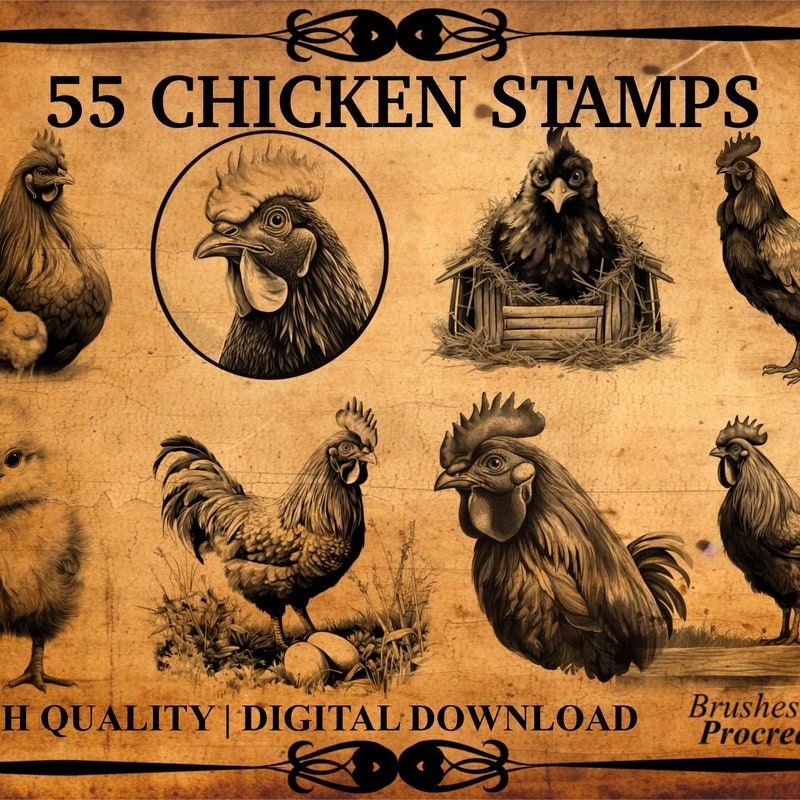 Chicken Stamps - Etsy