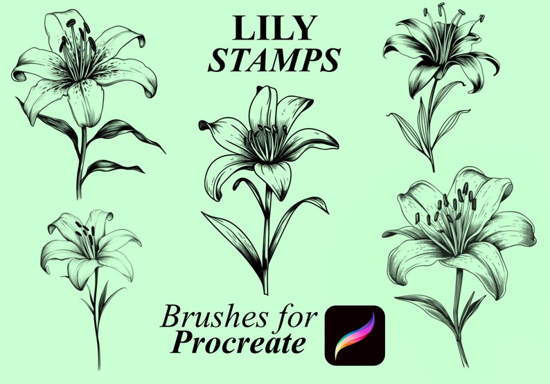 60+ Digital Lily Stamps for Procreate - Etsy