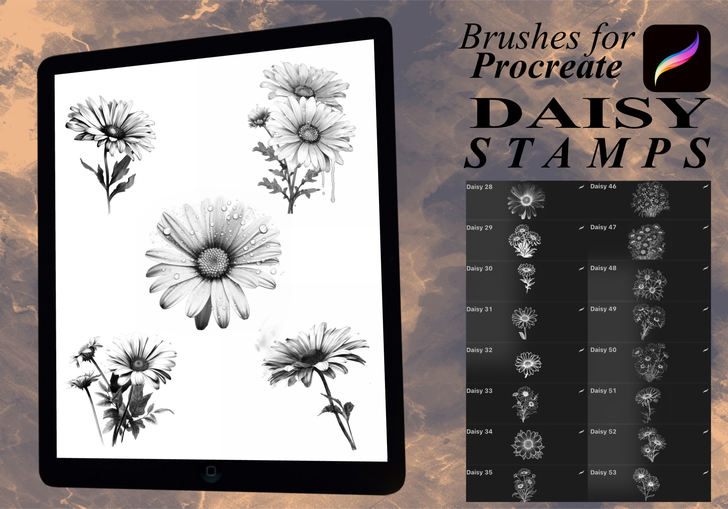 60 Digital Daisy Stamps for Procreate - Etsy