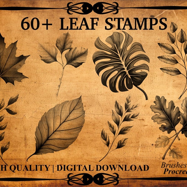Leaf Stamp - Etsy
