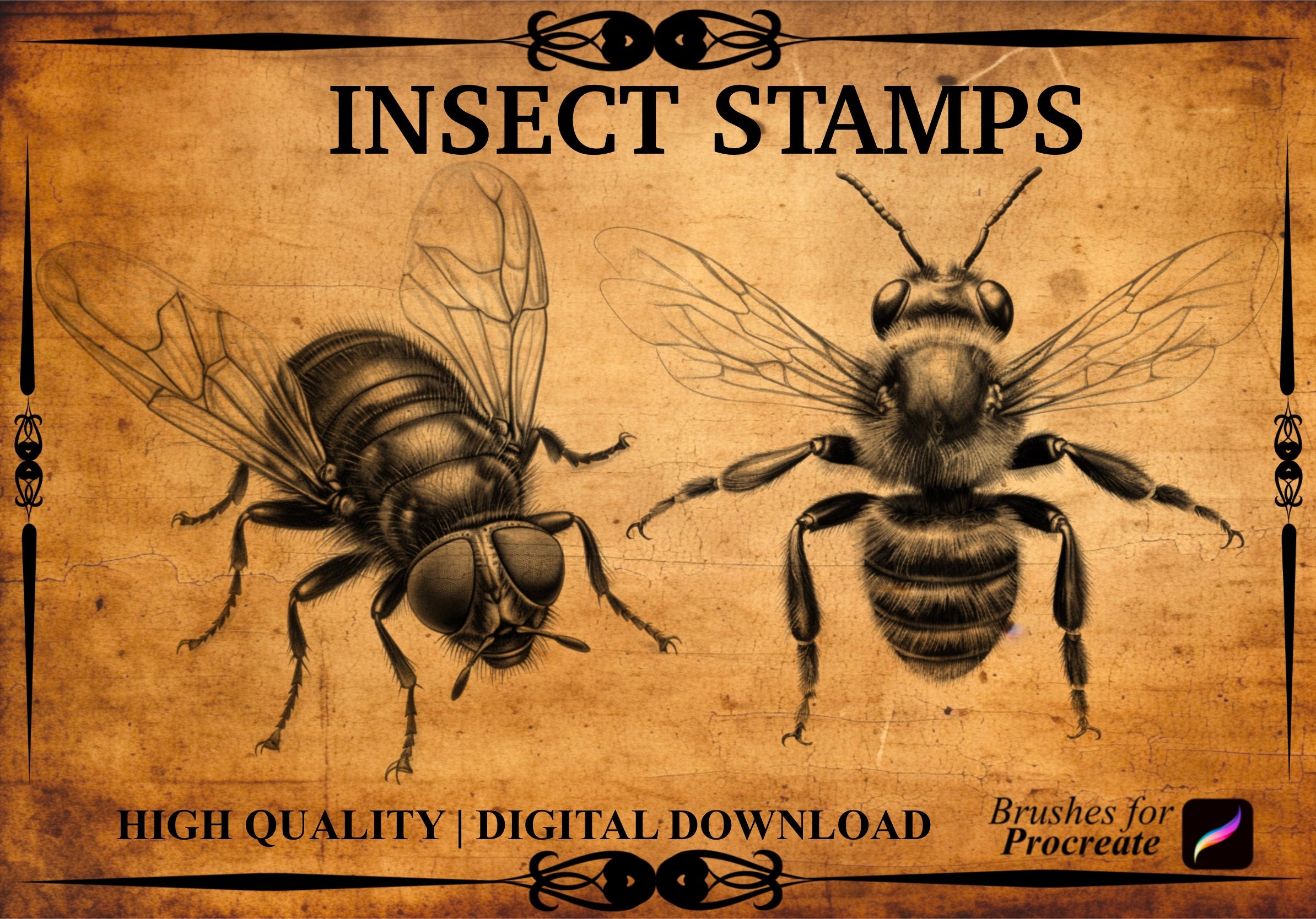65 Insect Procreate Brush Stamps Bug Stamps - Etsy