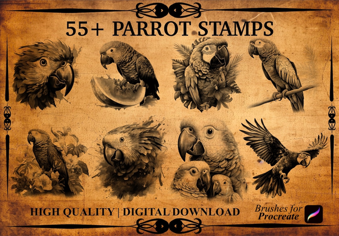 55+ Parrot Procreate Brush Stamps - Etsy