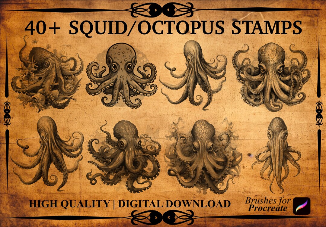 40+ Octopus/squid Procreate Brush Stamps - Etsy