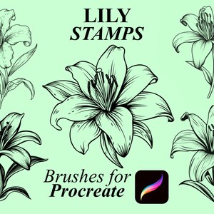 60+ Digital Lily Stamps for Procreate - Etsy