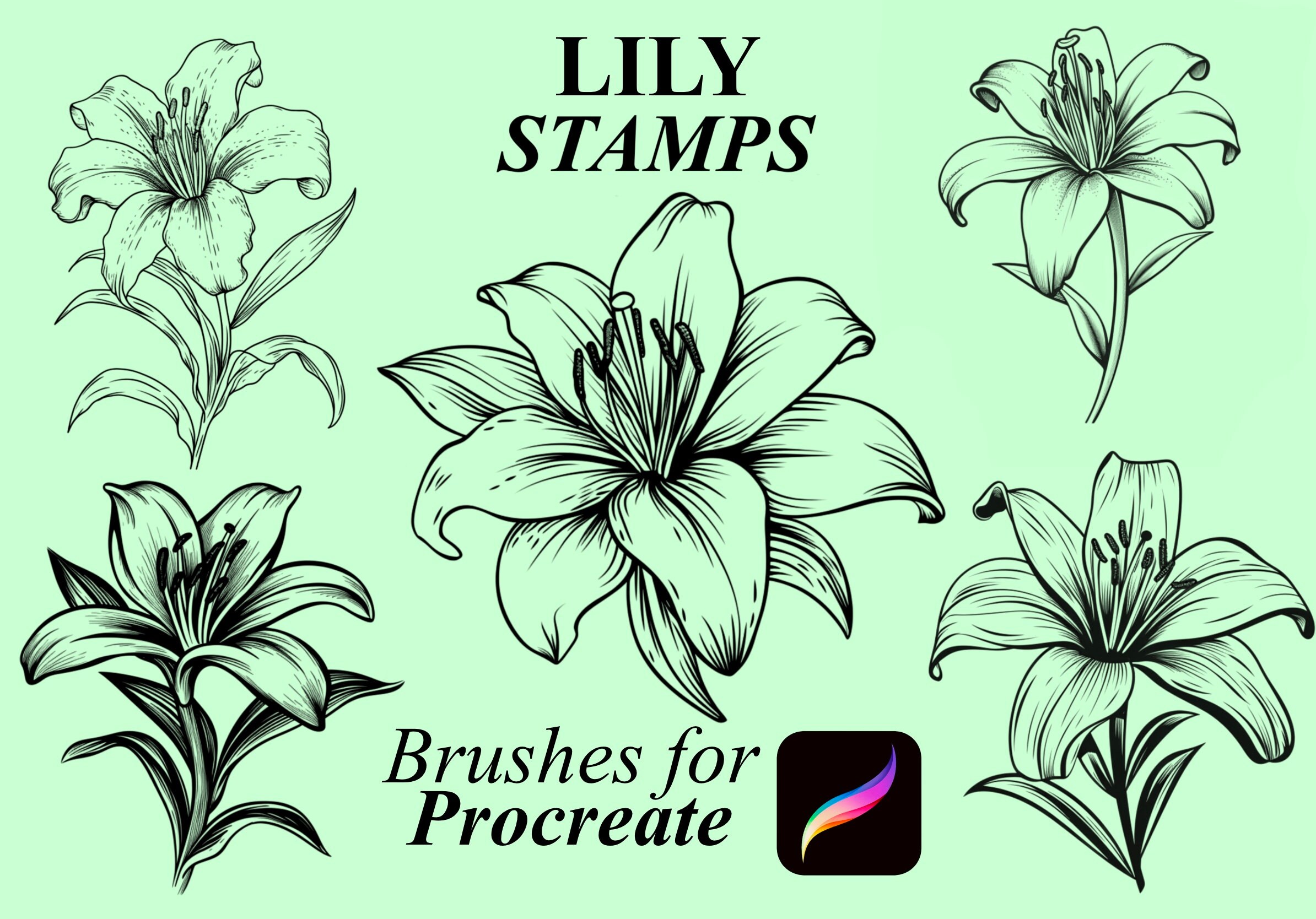 60+ Digital Lily Stamps for Procreate - Etsy